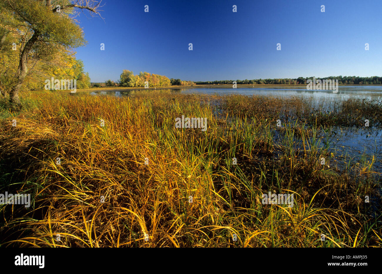 fall at the shore of Lake Champlain Vermont Stock Photo - Alamy