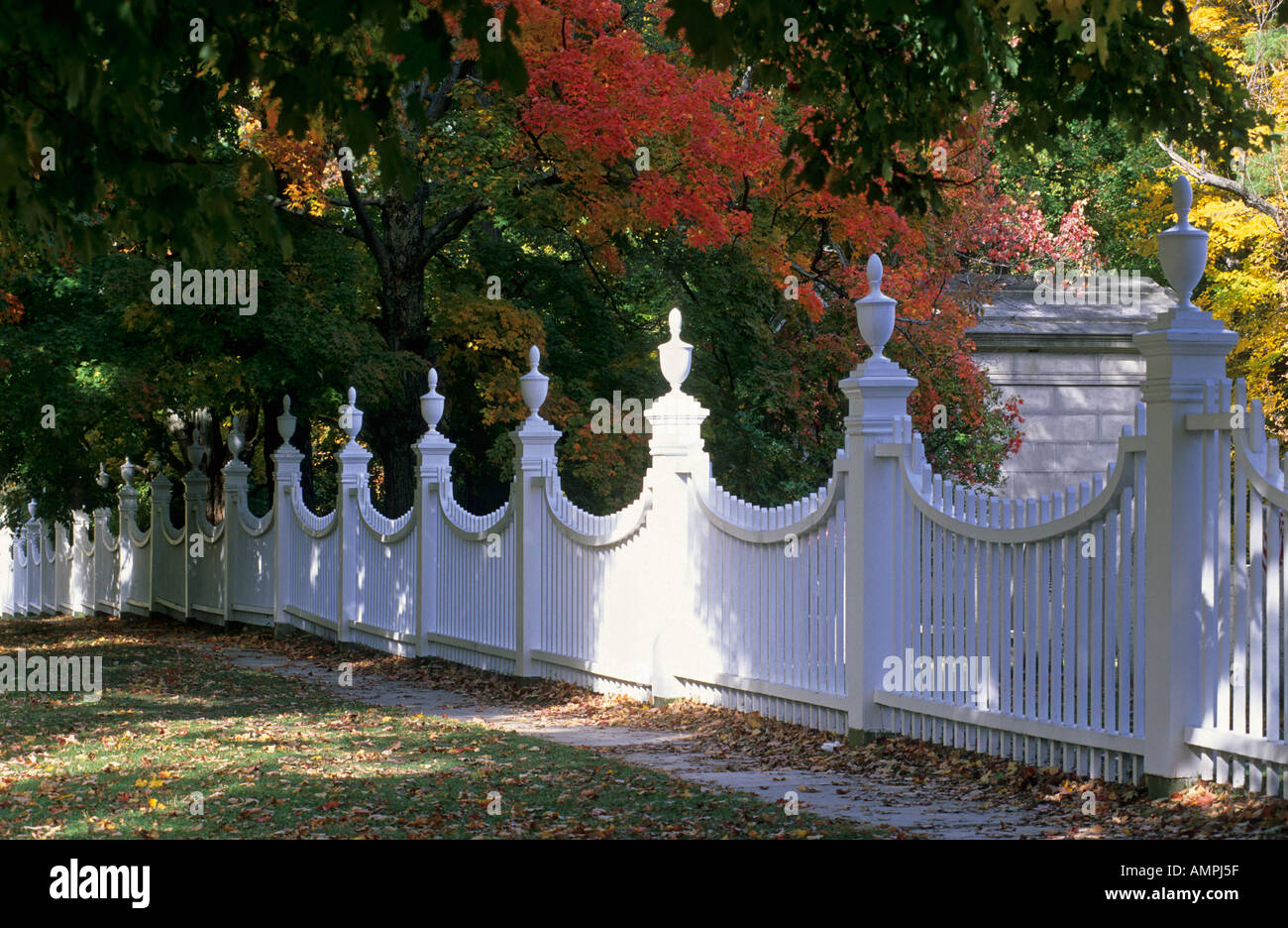 fence under fall coloured maple trees in Bannington Stock Photo - Alamy