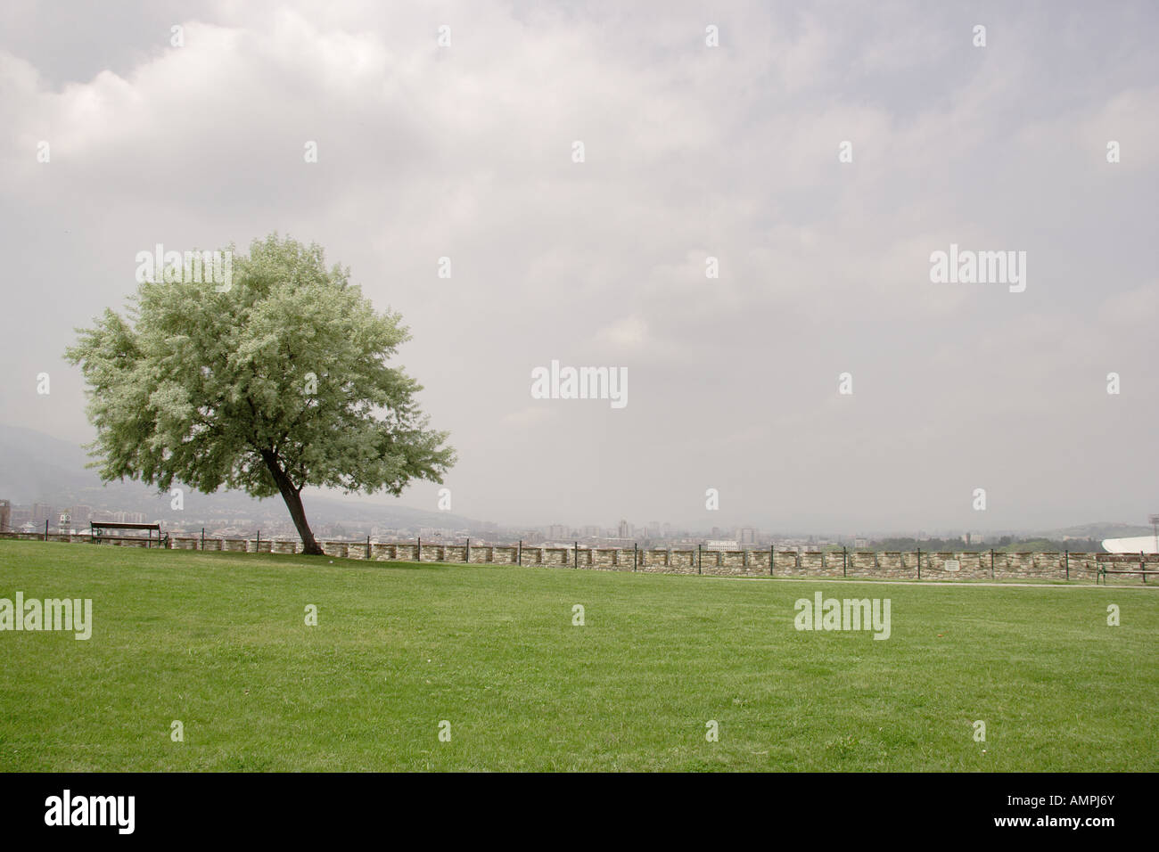 Field scenery solitaire tree hi-res stock photography and images - Alamy