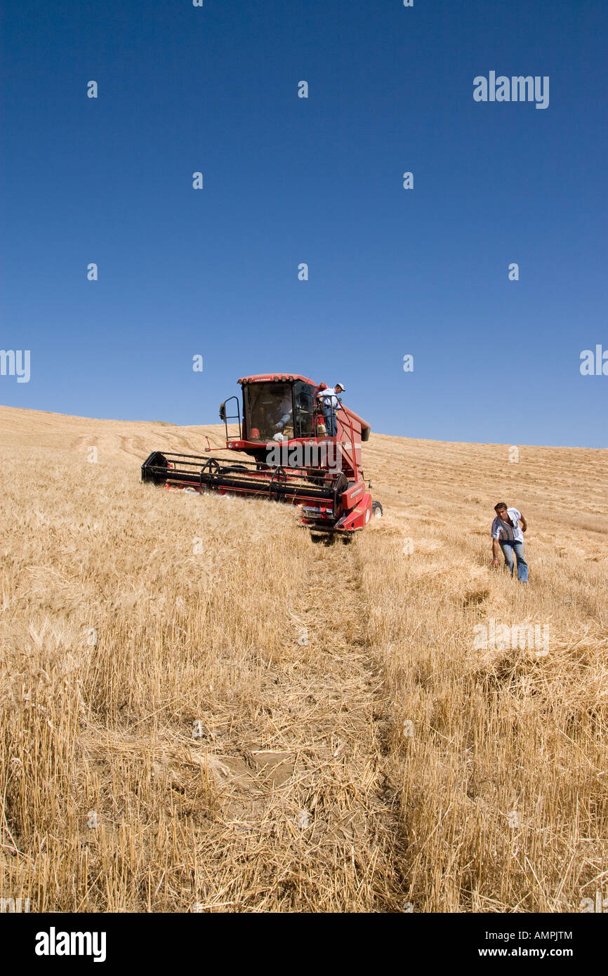 Men threshing grain hi-res stock photography and images - Alamy
