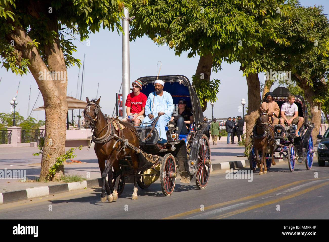 Caleche Egypt High Resolution Stock Photography and Images - Alamy