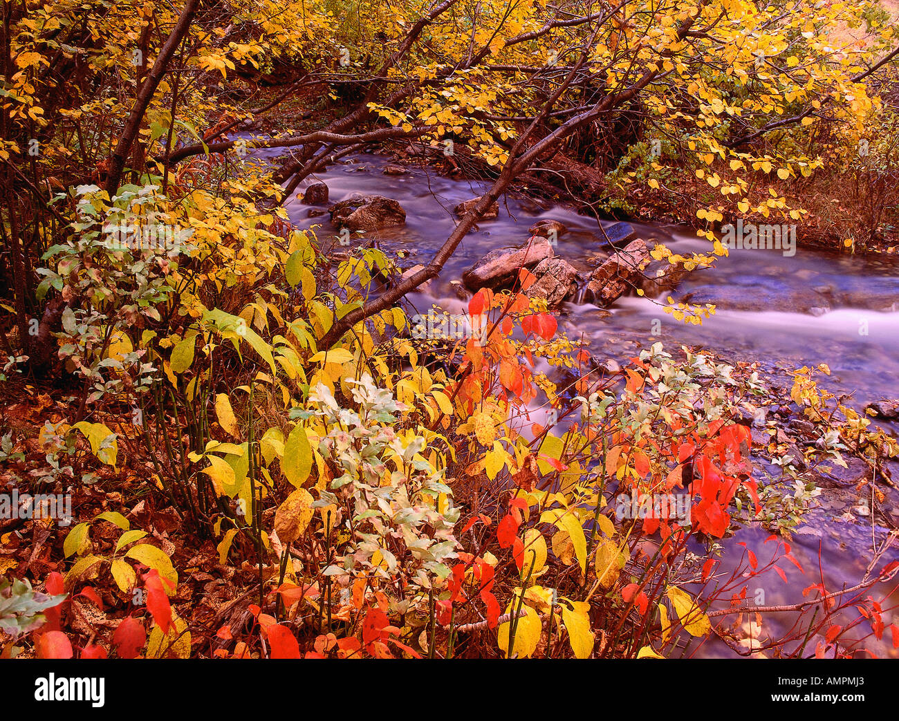 Coppermine creek hi-res stock photography and images - Alamy