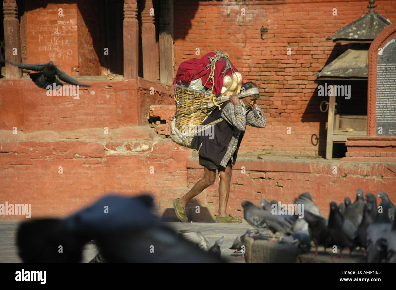 Heavy loaded porter with pigeons walks along a red wall Durbar Square ...