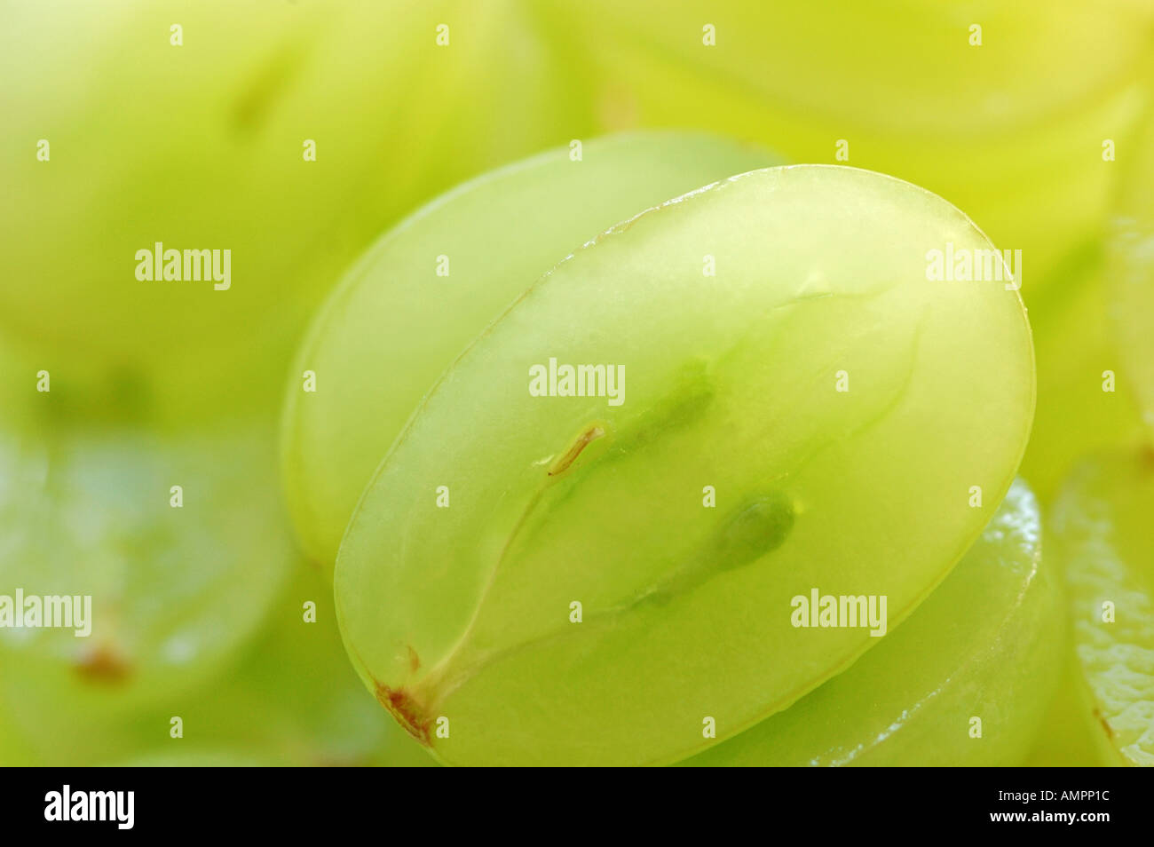 Grapes extreme close up hi-res stock photography and images - Alamy