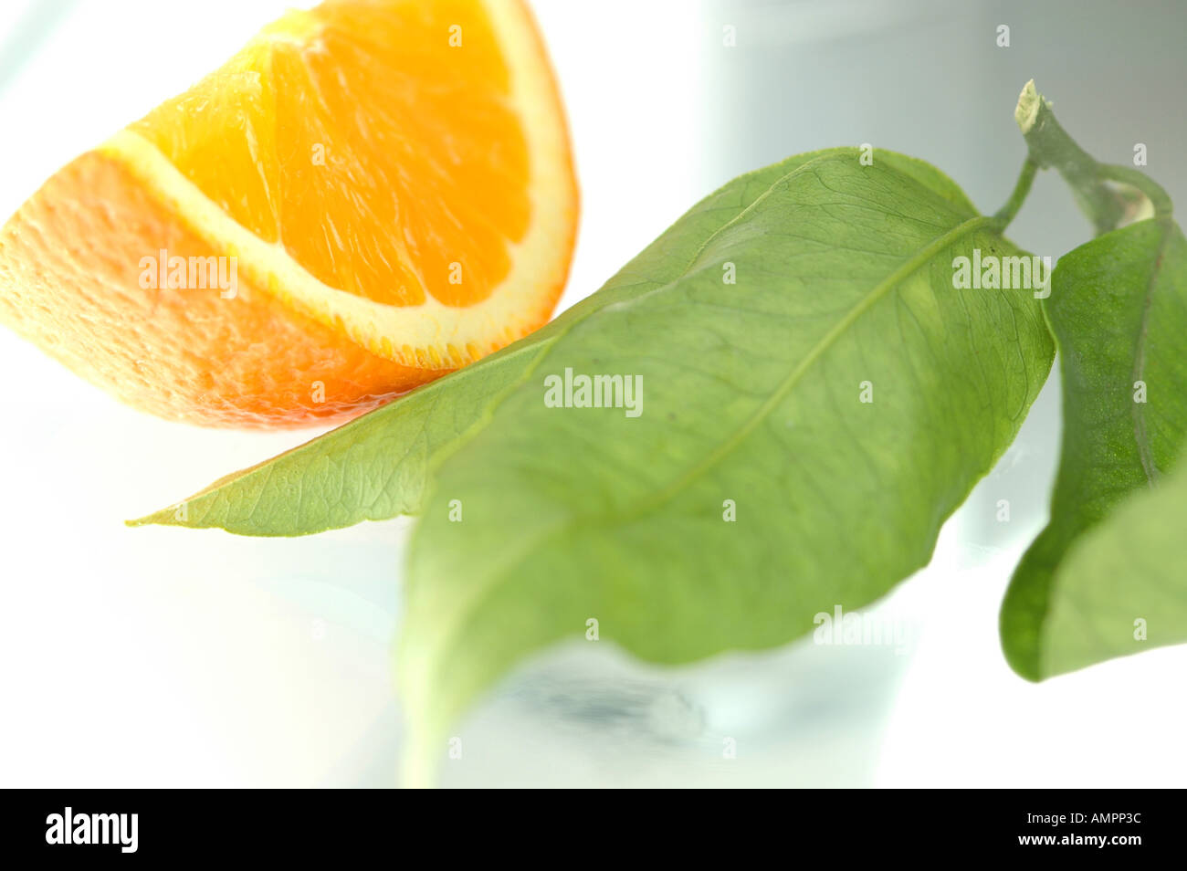 Orange Cross Section High Resolution Stock Photography and Images - Alamy