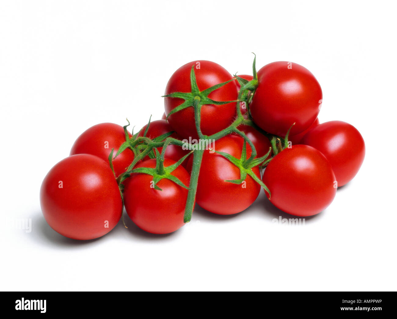 Panicle tomate hi-res stock photography and images - Alamy