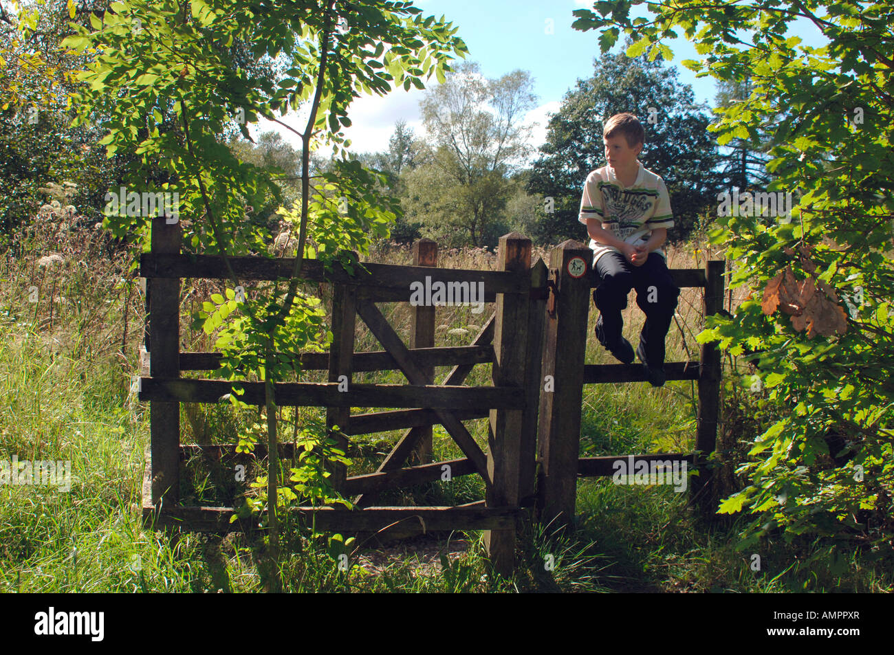 Boy sitting on wooden gate hi-res stock photography and images - Alamy
