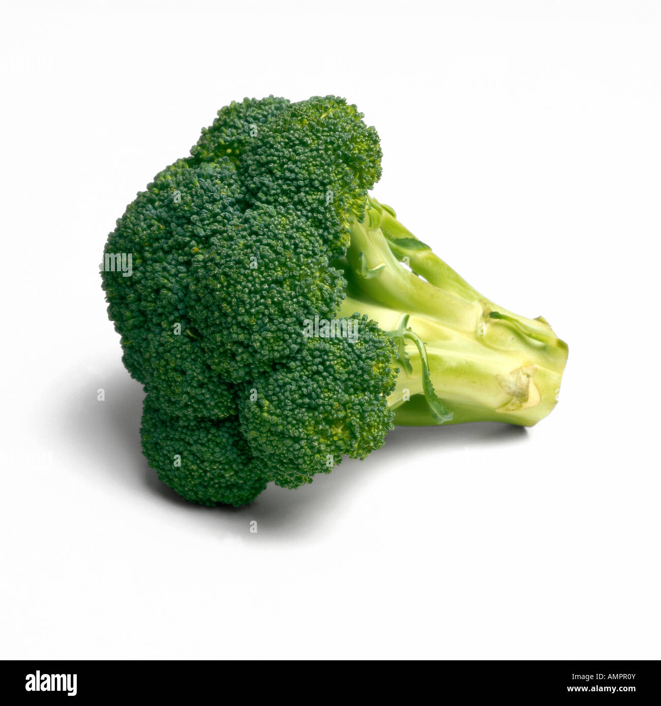 Brokkoli broccoli Cut Out Stock Images & Pictures - Alamy