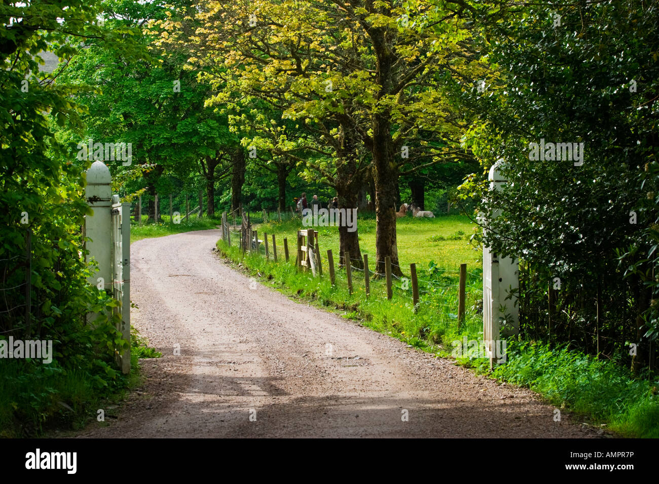 Slingrar hi-res stock photography and images - Alamy