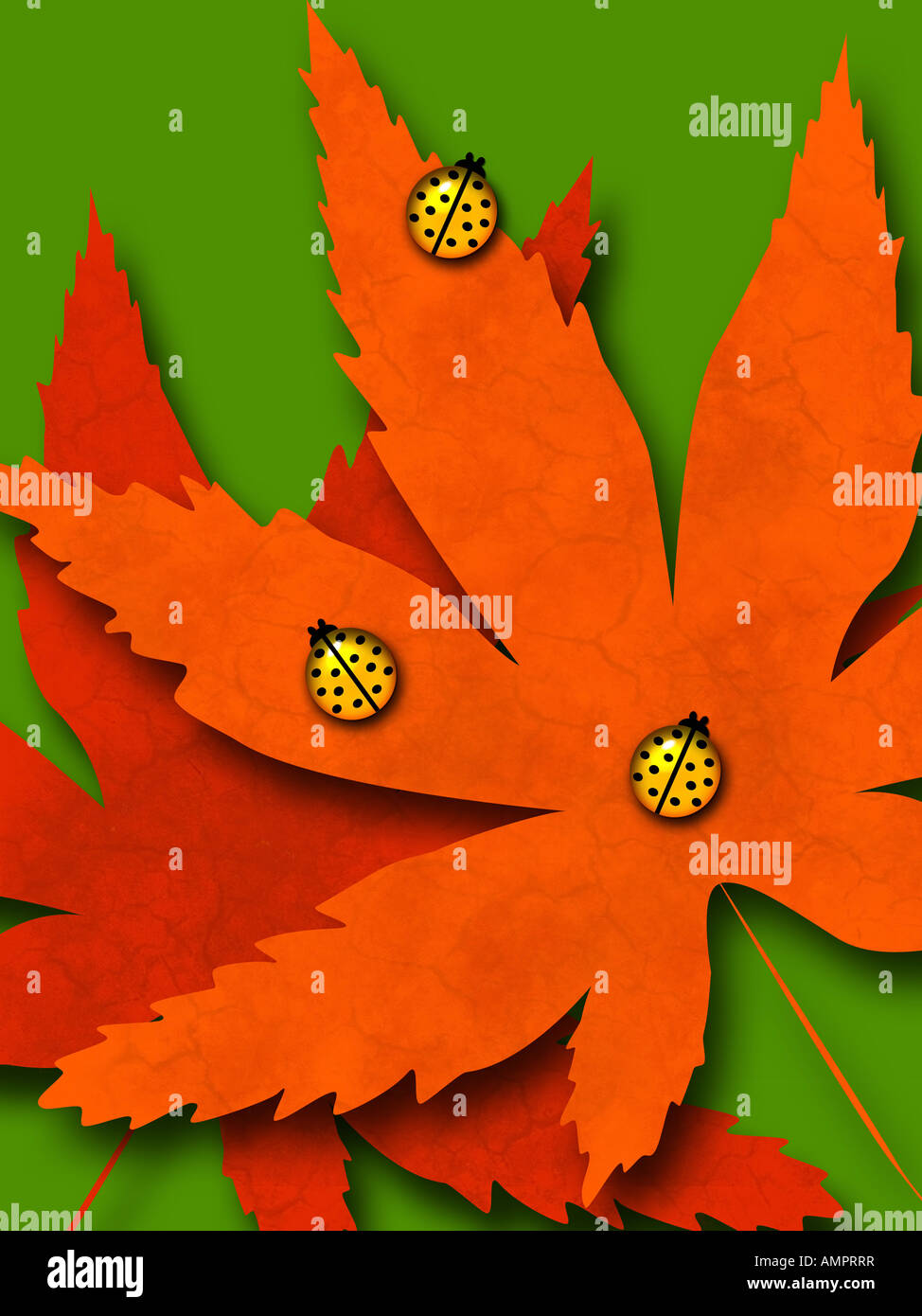 Representation of lady bugs on maple leaves Stock Photo - Alamy