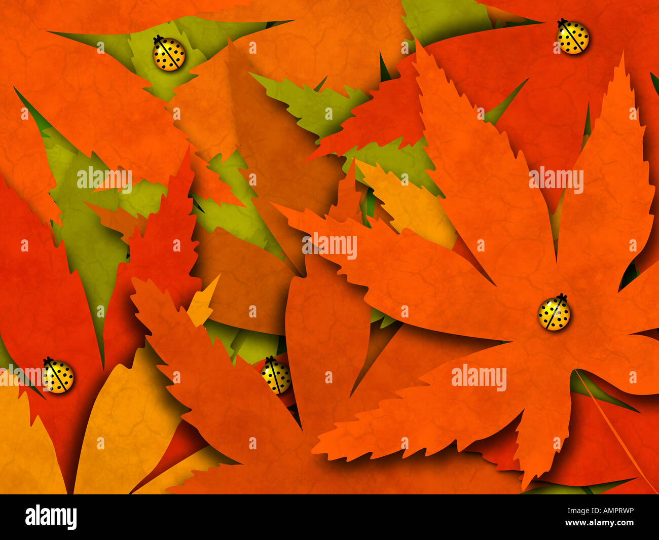 Representation of lady bugs on maple leaves Stock Photo - Alamy