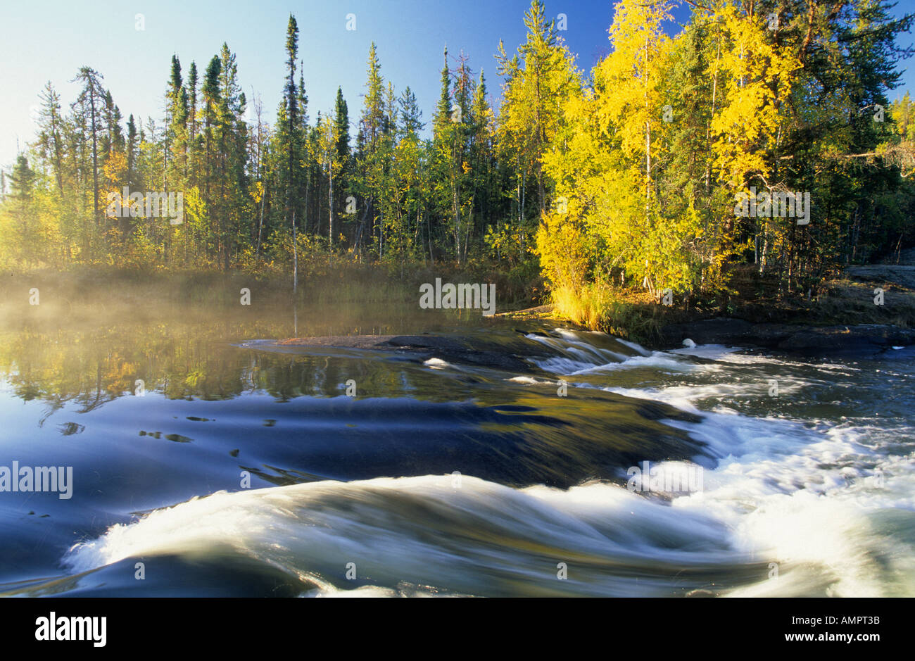 fall coloured trees at a river Stock Photo - Alamy