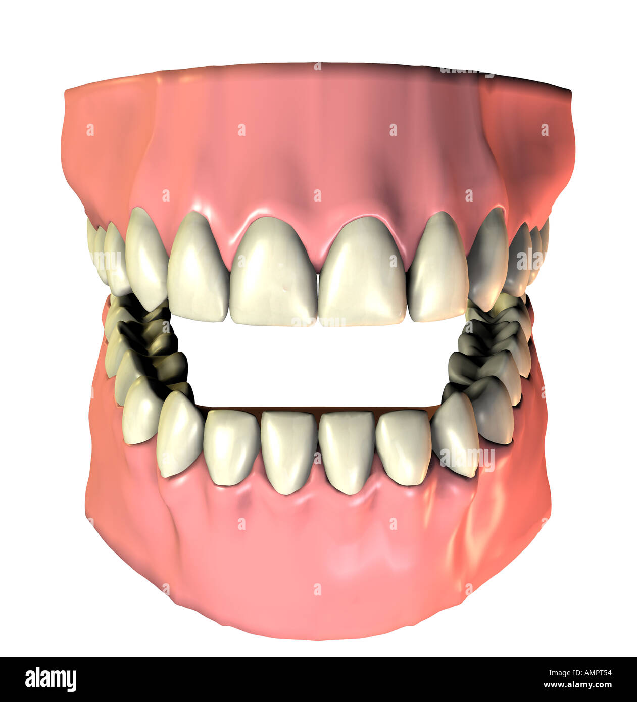 Snarling teeth Cut Out Stock Images & Pictures - Alamy