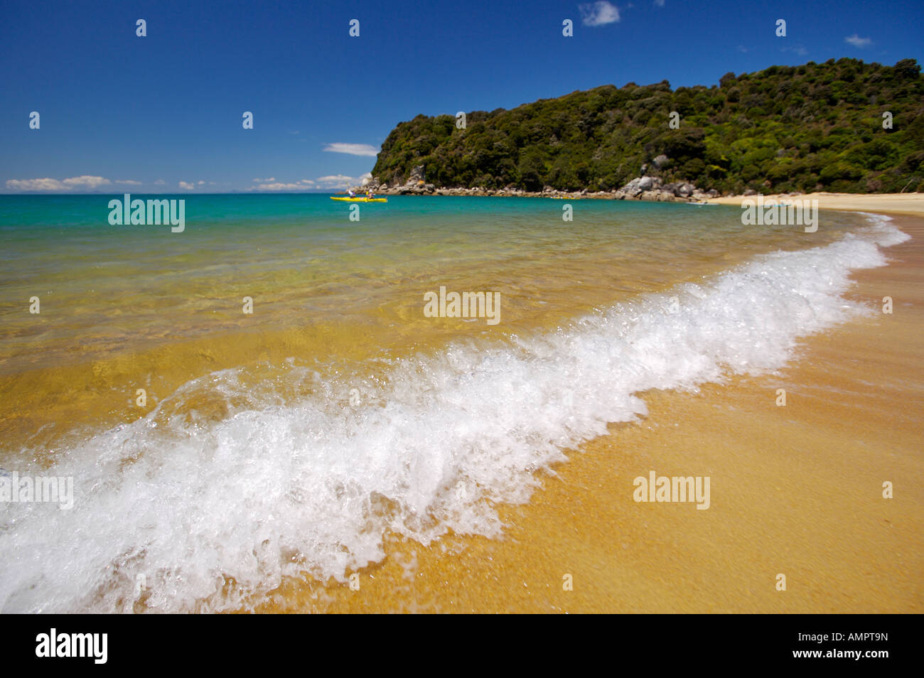 Te pukatea bay hi-res stock photography and images - Alamy
