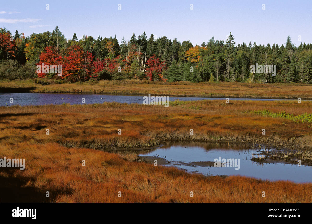 USA, National park Arcadia, Maine Stock Photo - Alamy