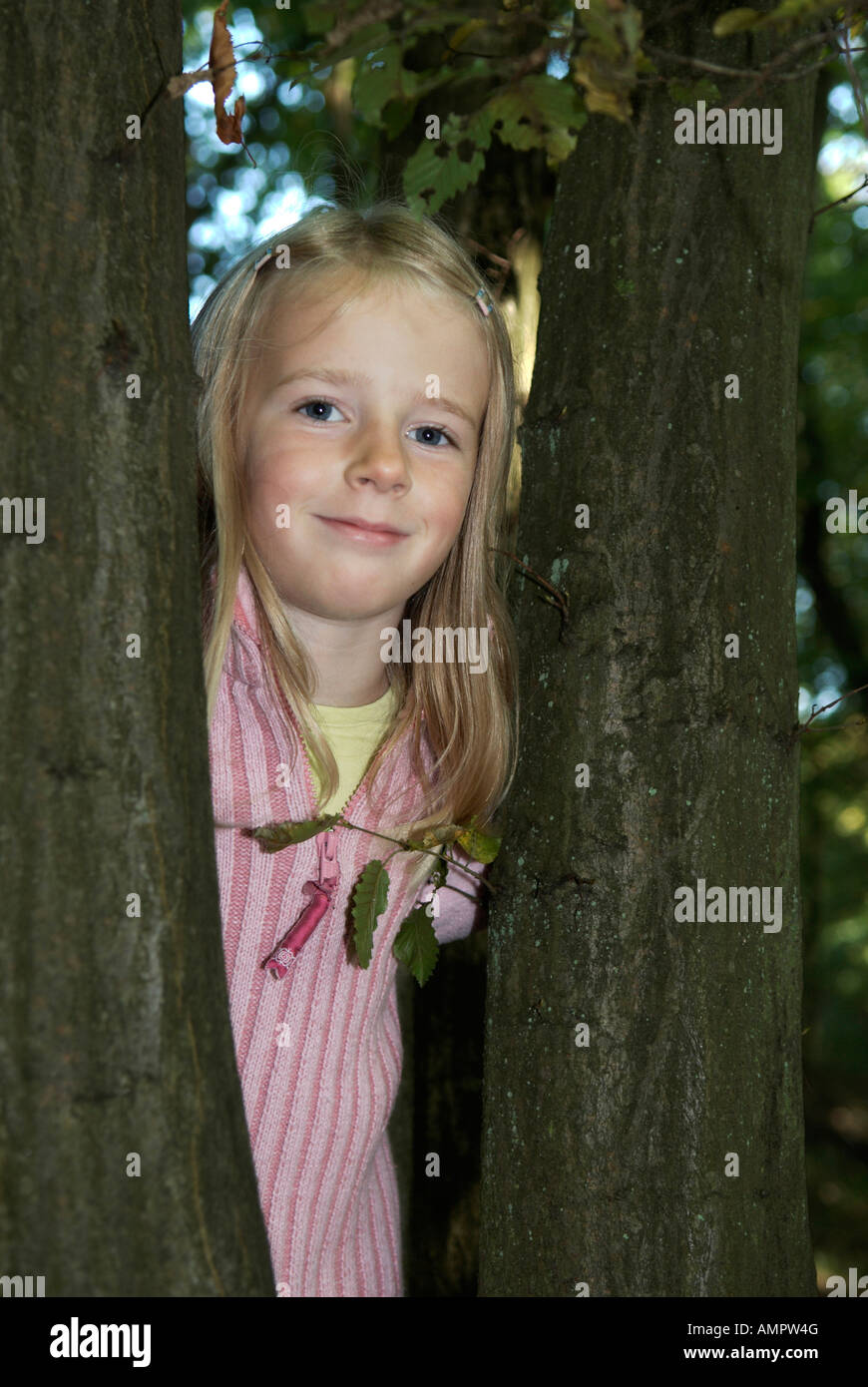 A six year old girl between two tree trunks in a forest Stock Photo - Alamy