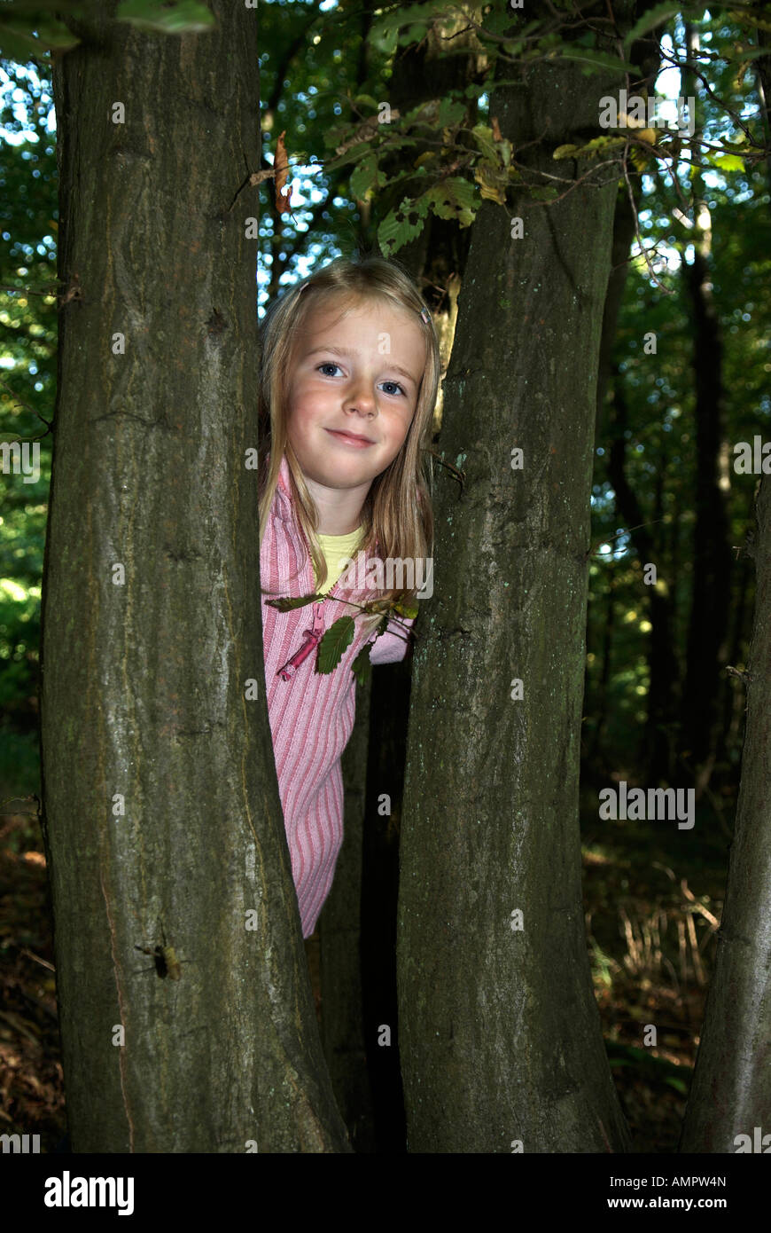 A six year old girl between two treetrunks in a forest Stock Photo - Alamy