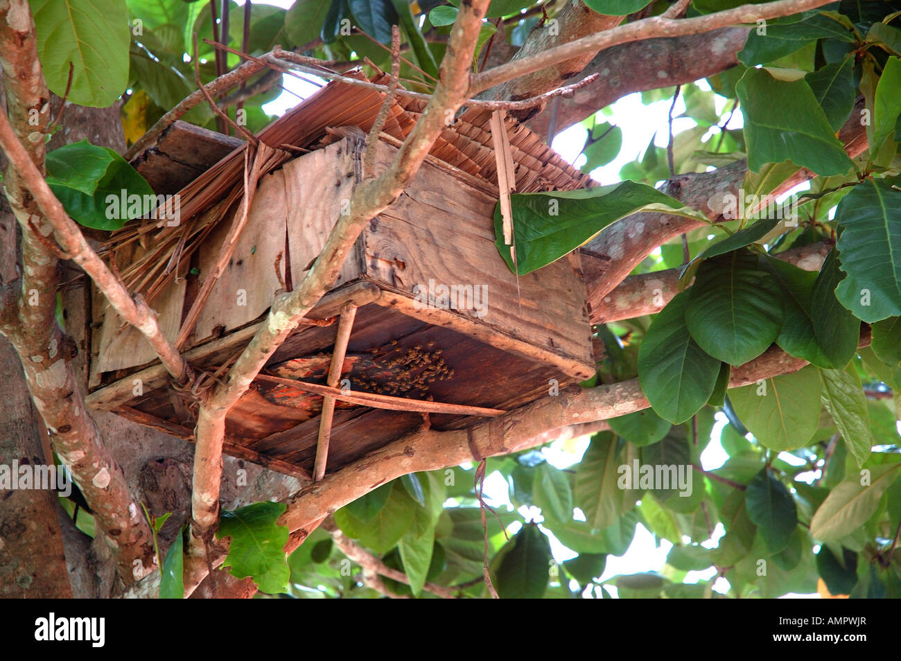 Traditional bee hive Stock Photo - Alamy