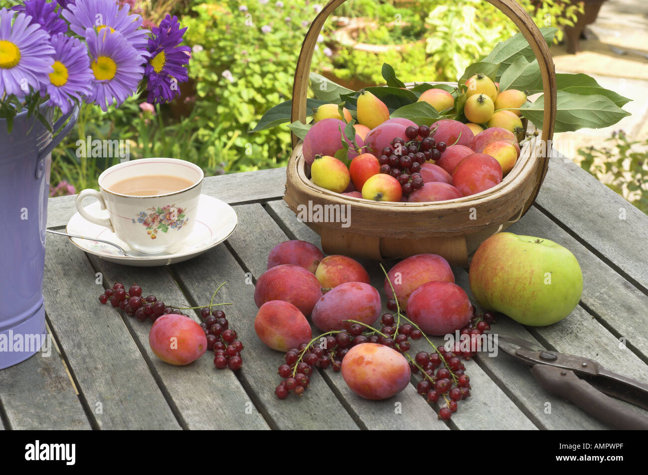 Tea Cup saucer outside summer garden patio table Stock Photo - Alamy