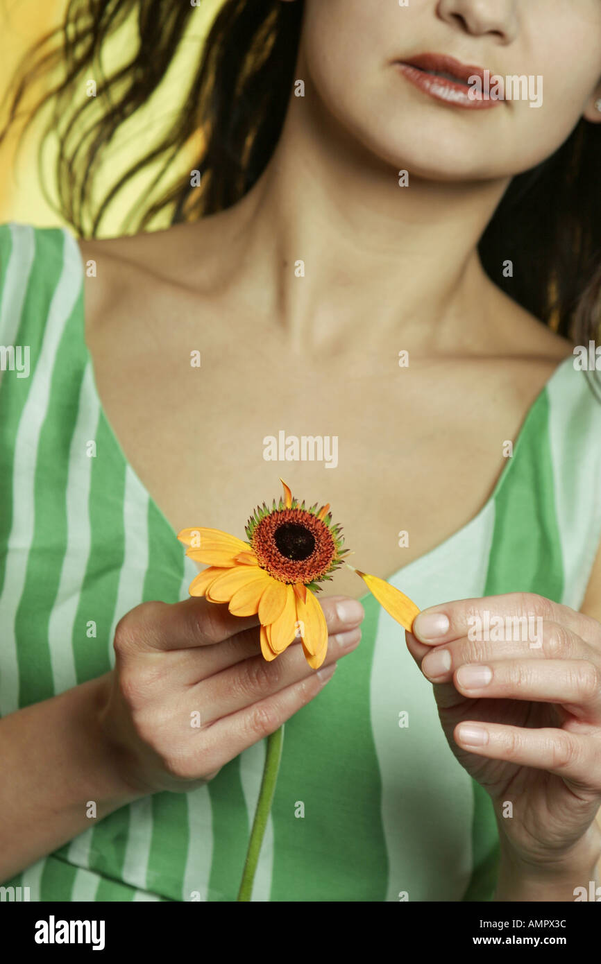 Petals pluck up hi-res stock photography and images - Alamy