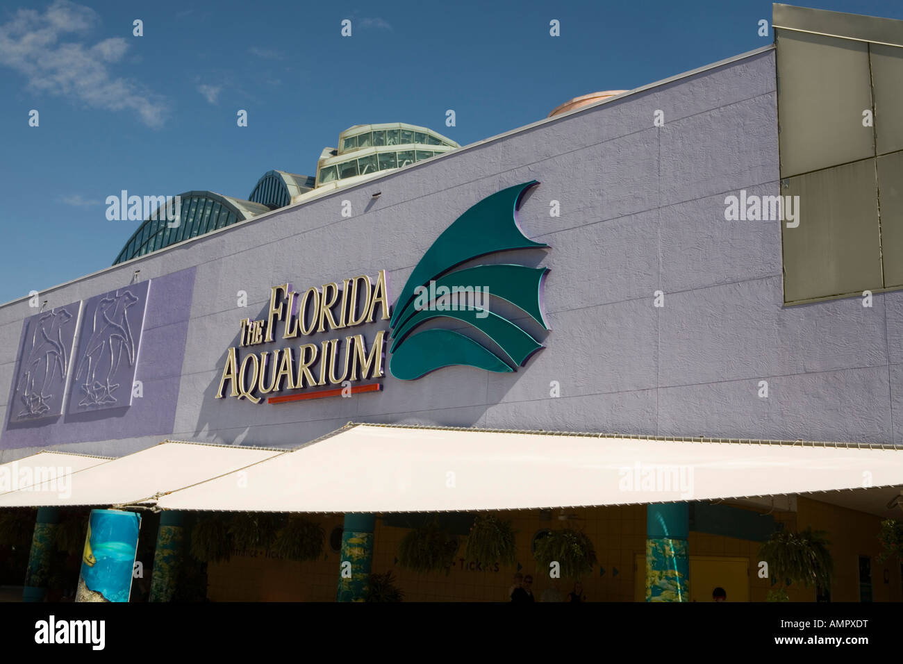 Florida Aquarium Tampa Florida Stock Photo - Alamy