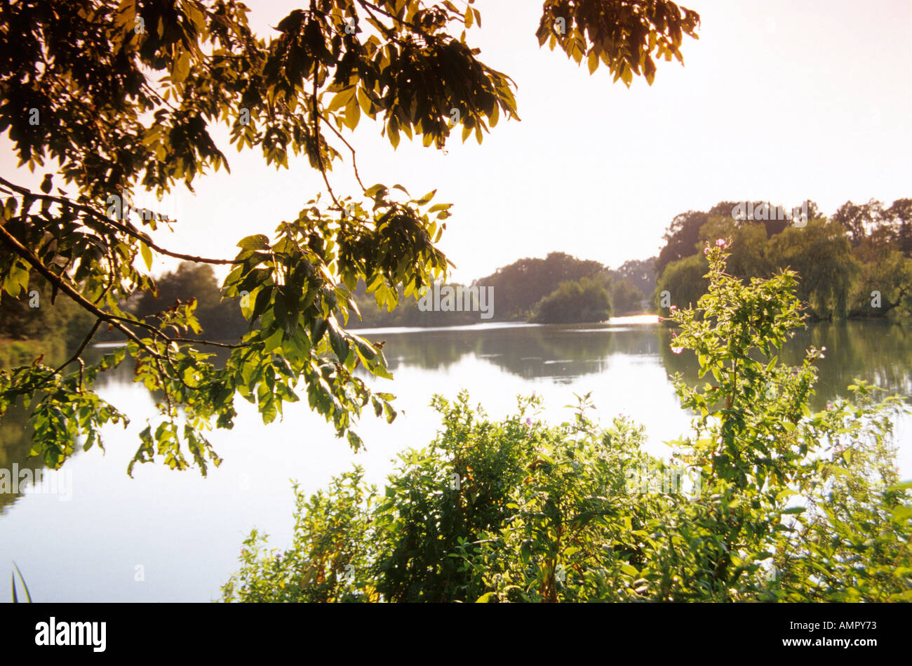 Ankum hi-res stock photography and images - Alamy