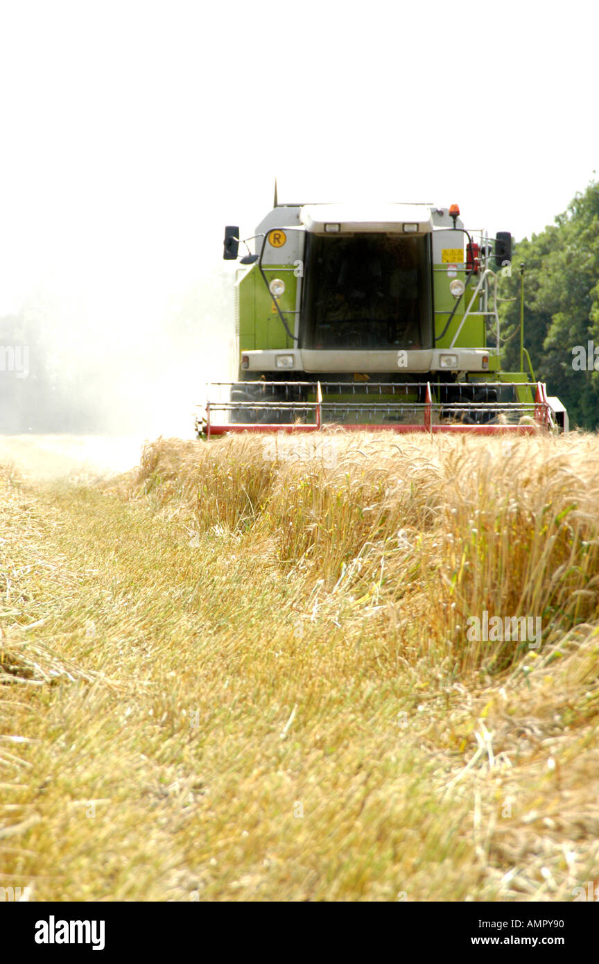 A combine Harvester harvesting crops Stock Photo - Alamy