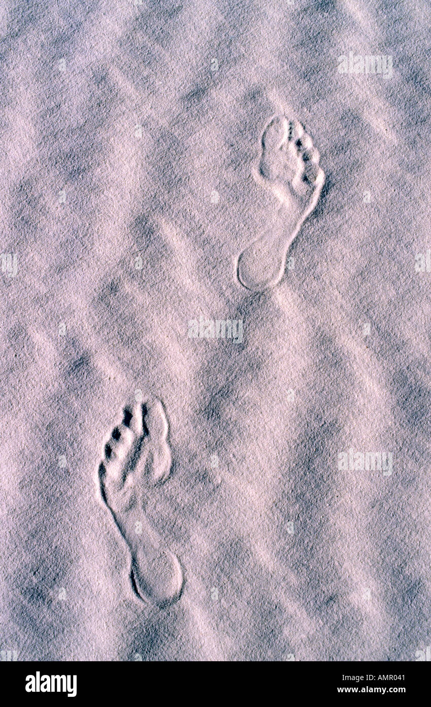 footsteps in sand Stock Photo - Alamy