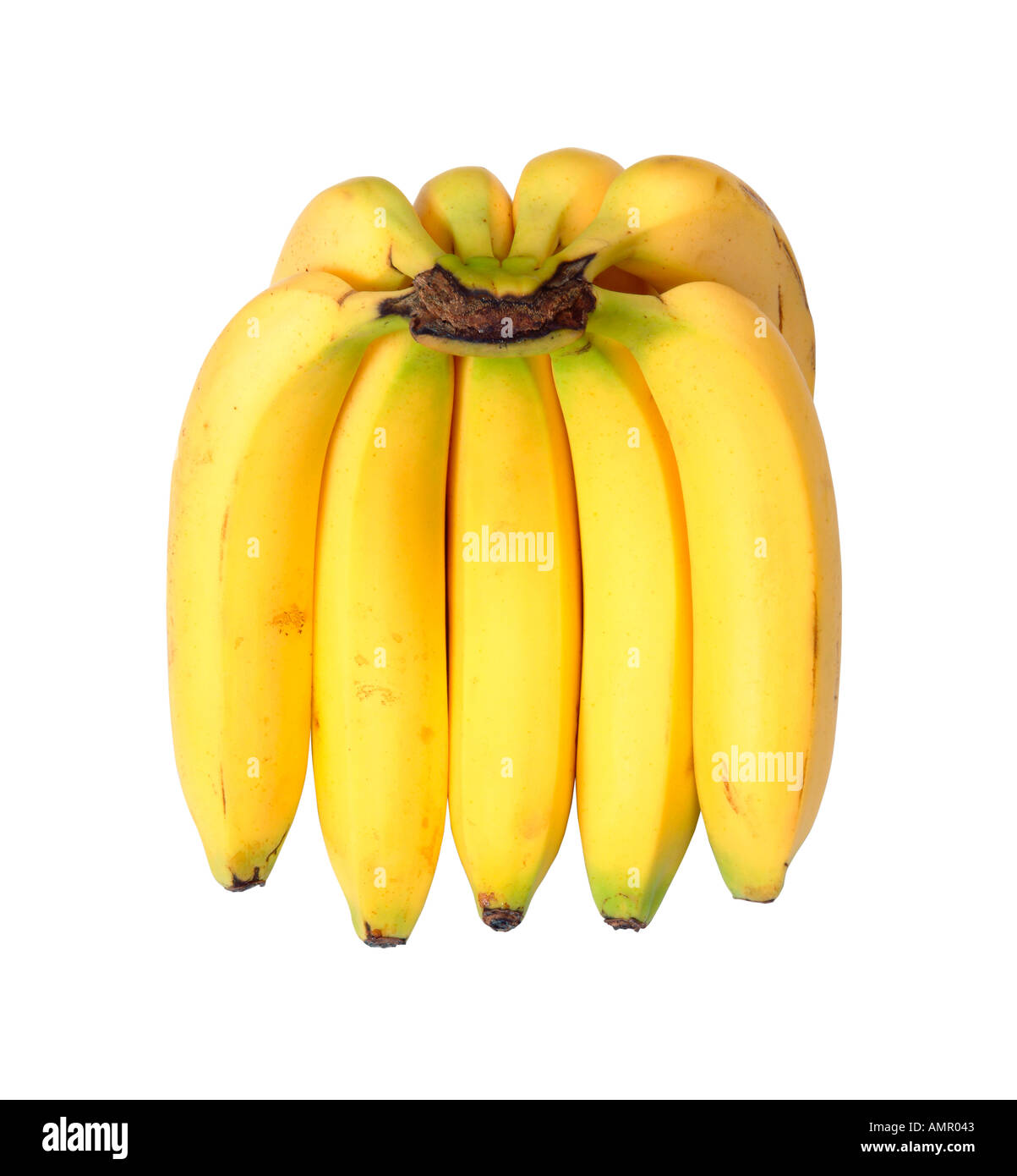 Bunch of bananas Stock Photo - Alamy