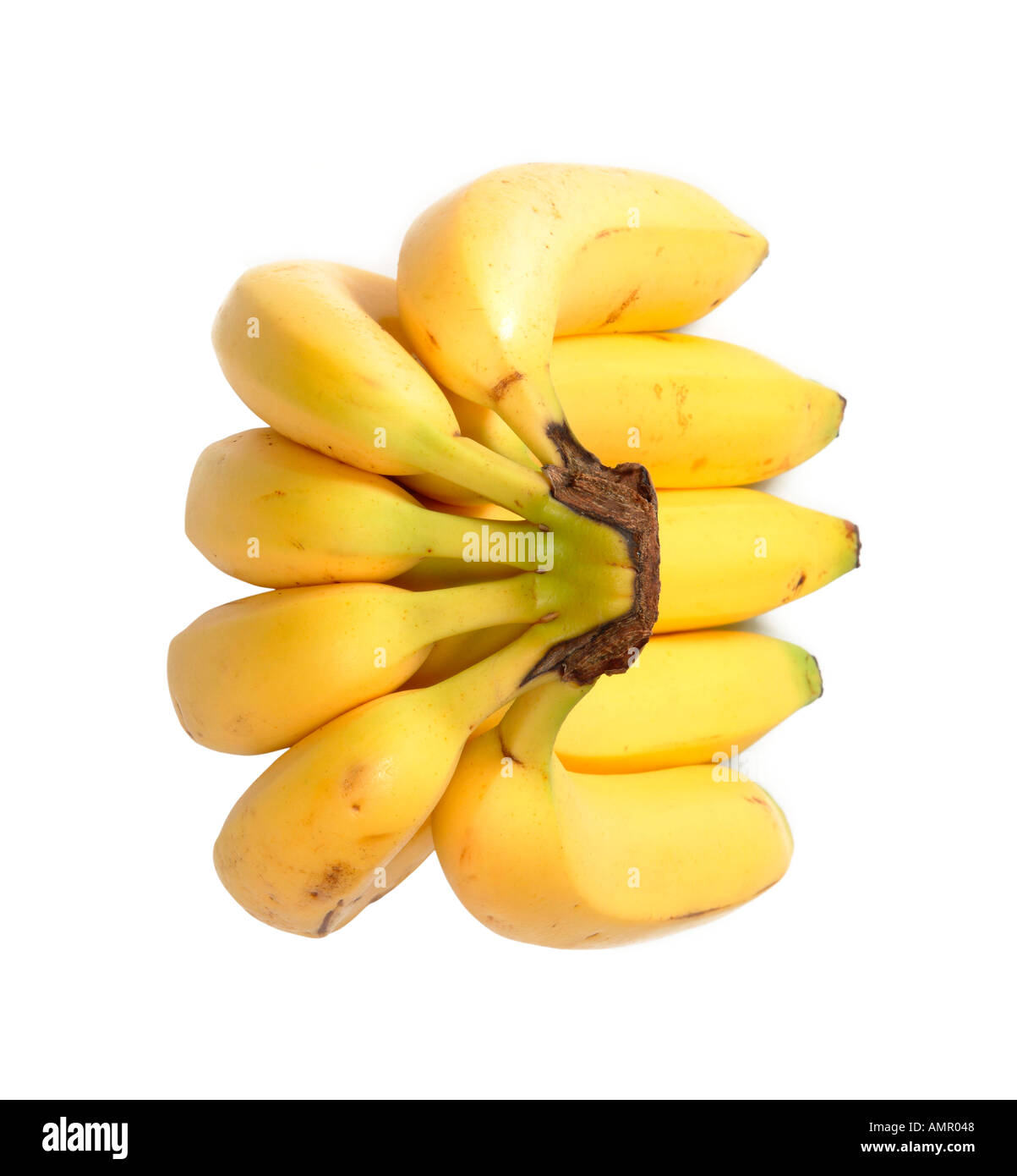 Bunch of bananas Stock Photo - Alamy