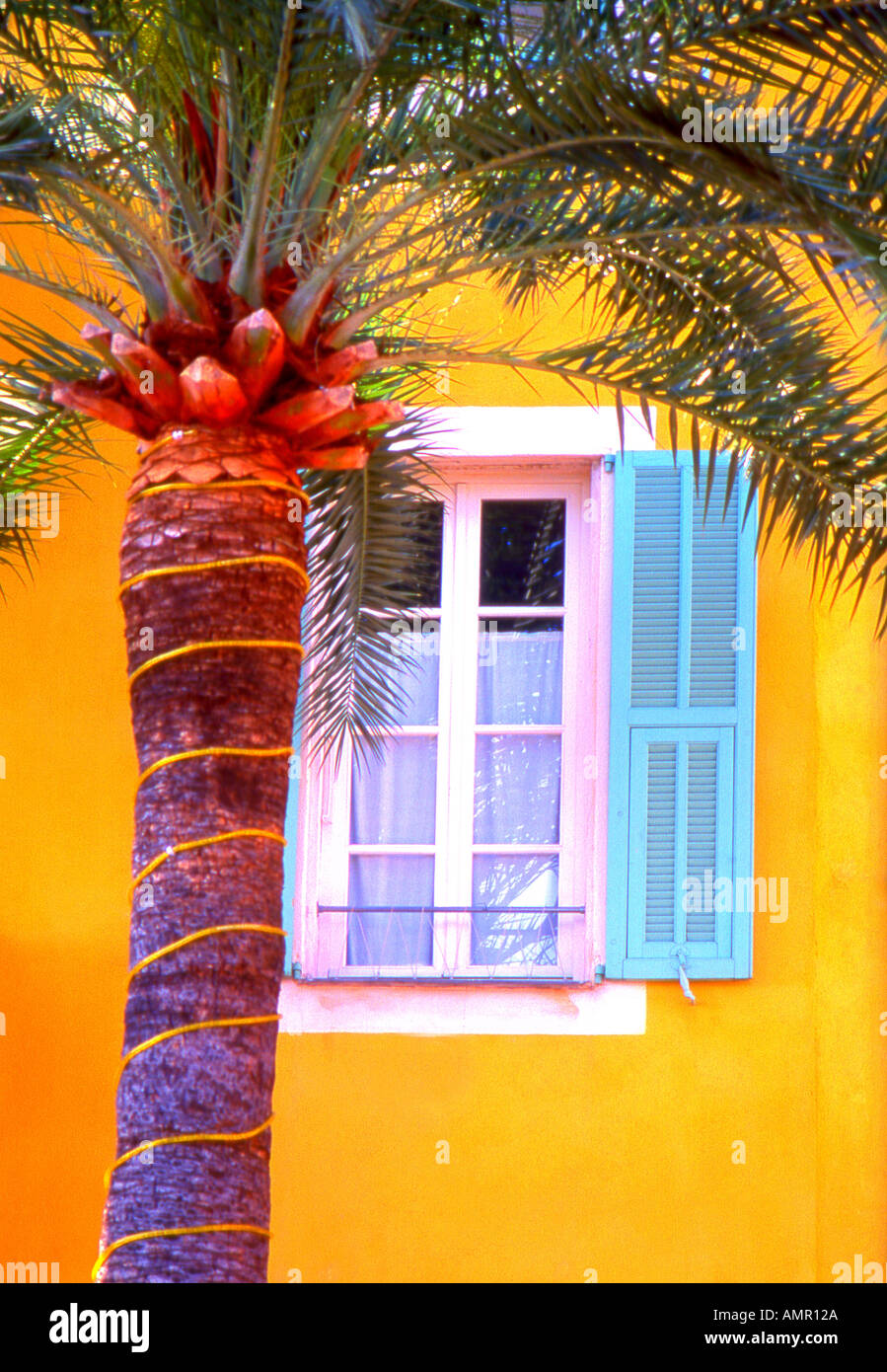Palm tree window shutters hi-res stock photography and images - Alamy