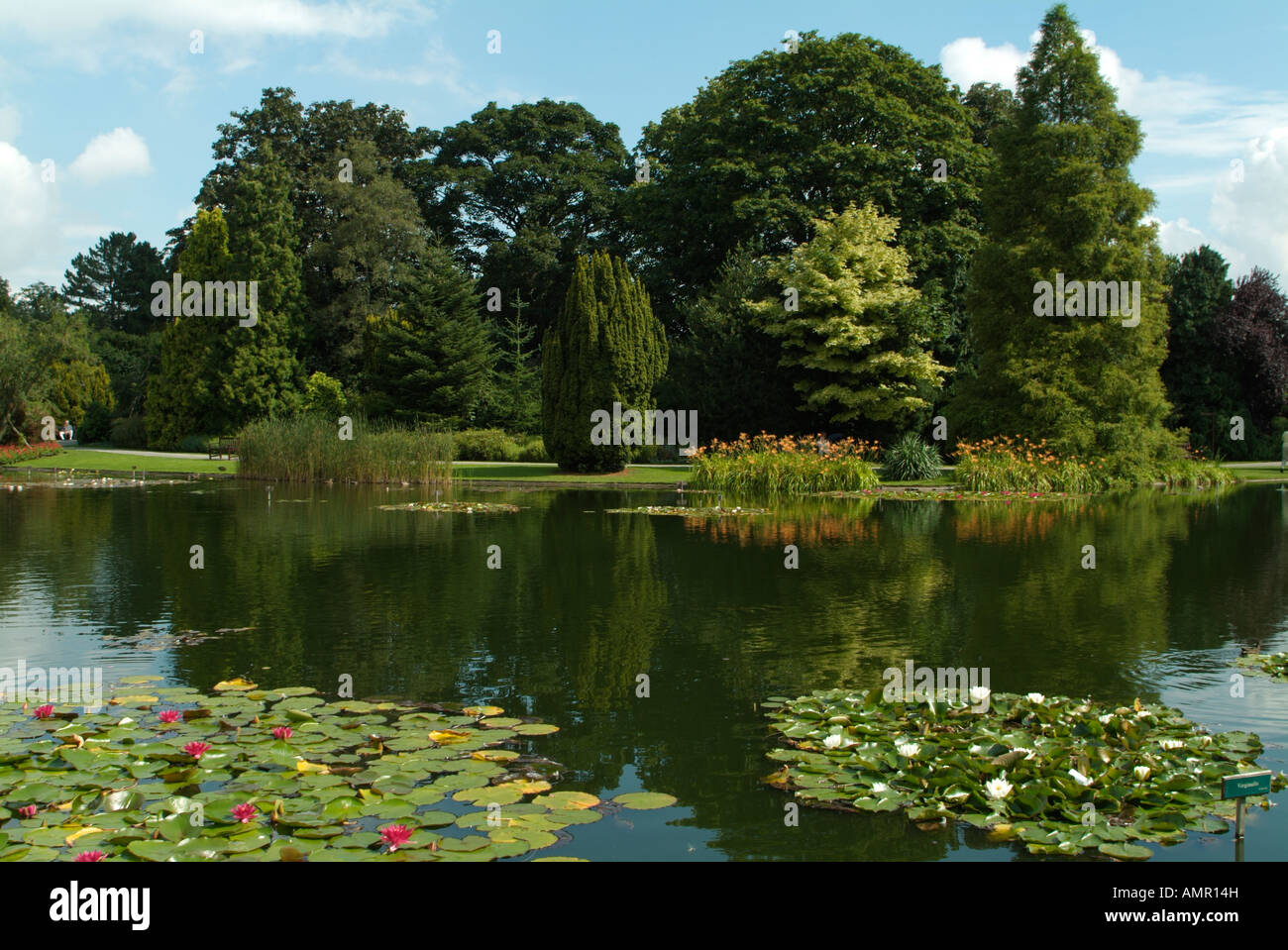 Burnby Hall Gardens Pocklington East Yorks Stock Photo - Alamy