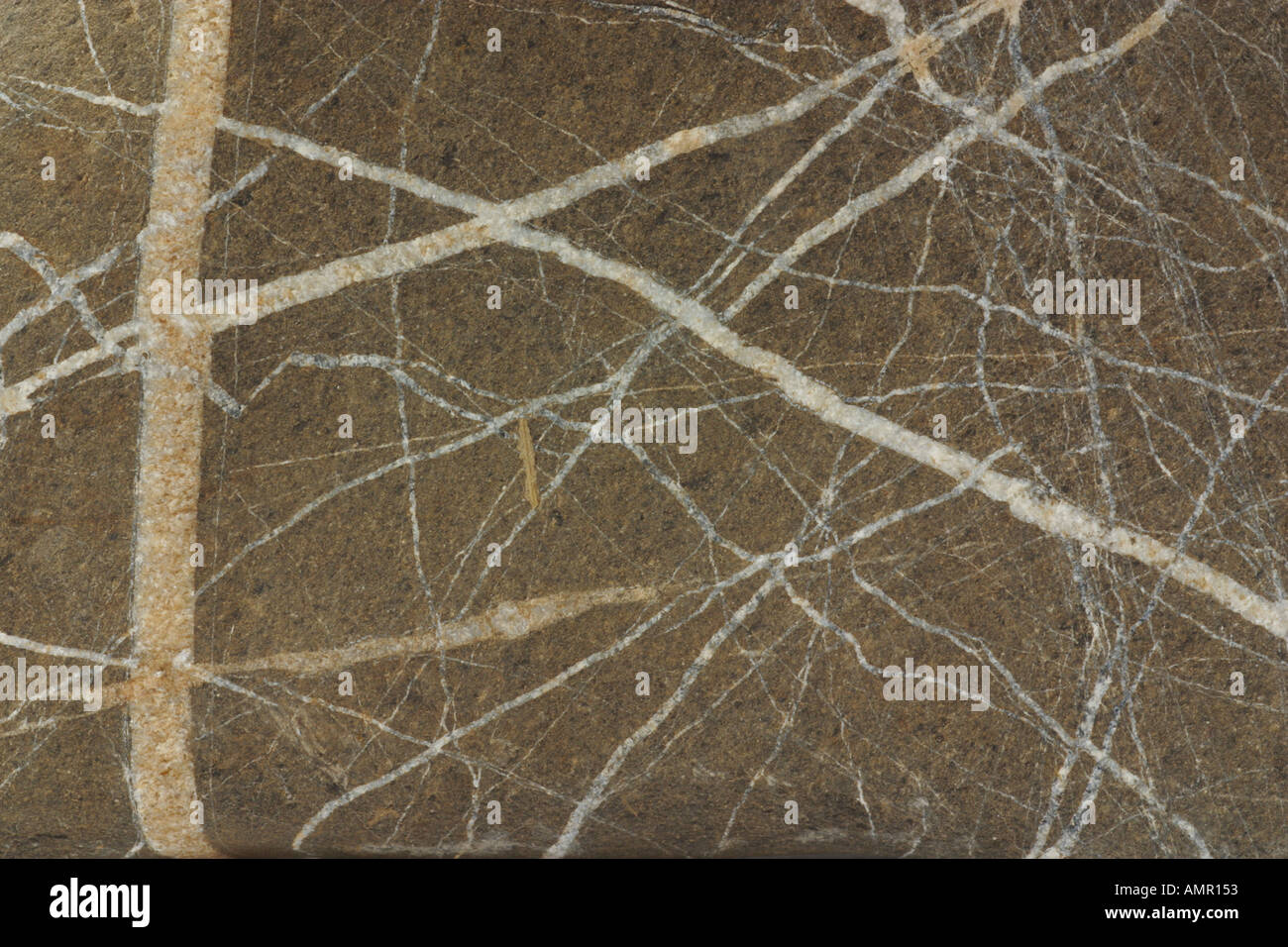 large pebble with quartz lines Stock Photo - Alamy