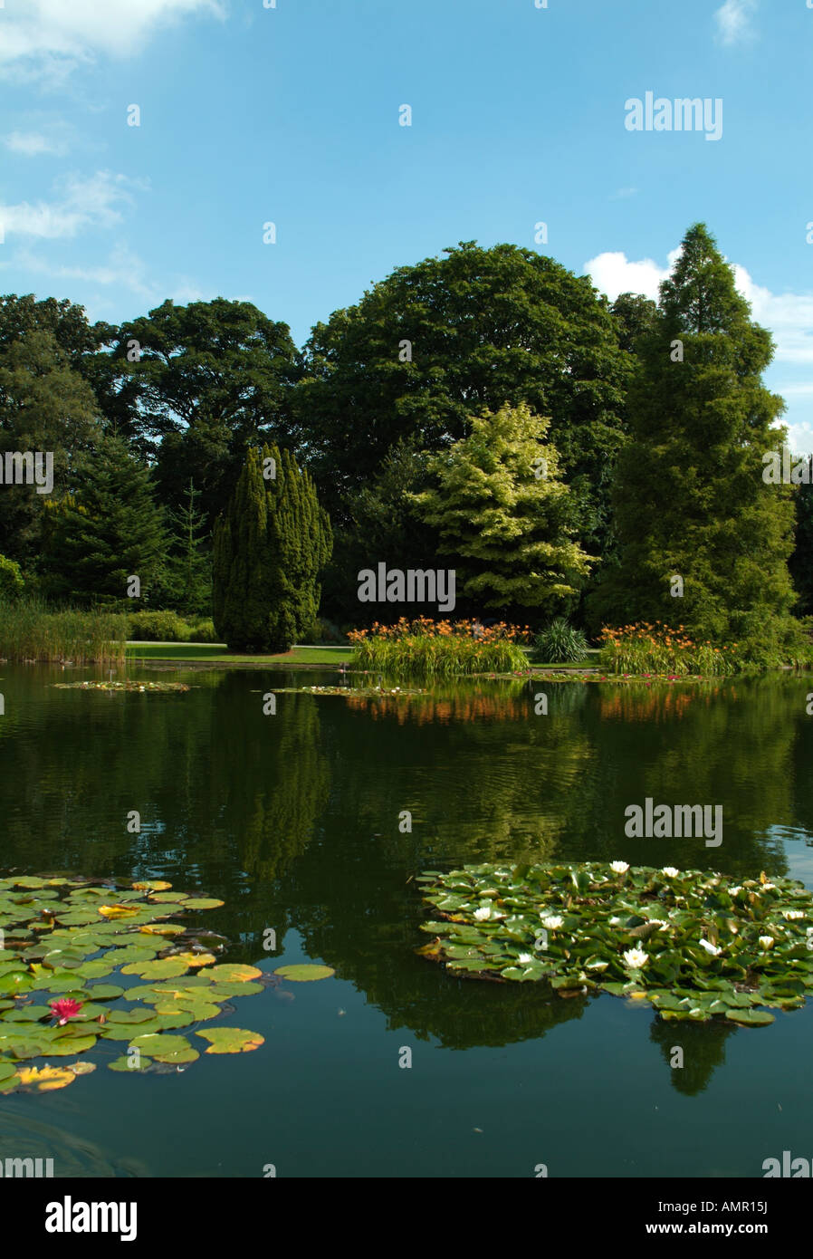 Burnby Hall Gardens Pocklington East Yorkshire Stock Photo - Alamy
