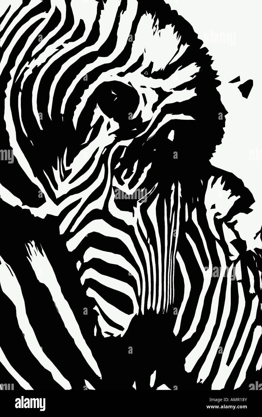 Zebras stripes photo illustration Stock Photo - Alamy