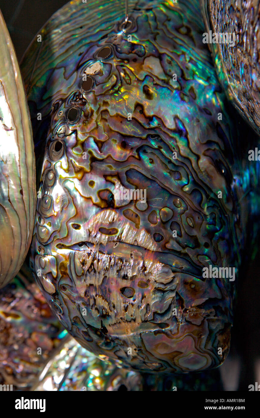 Shell Factory Stock Photos & Shell Factory Stock Images - Alamy