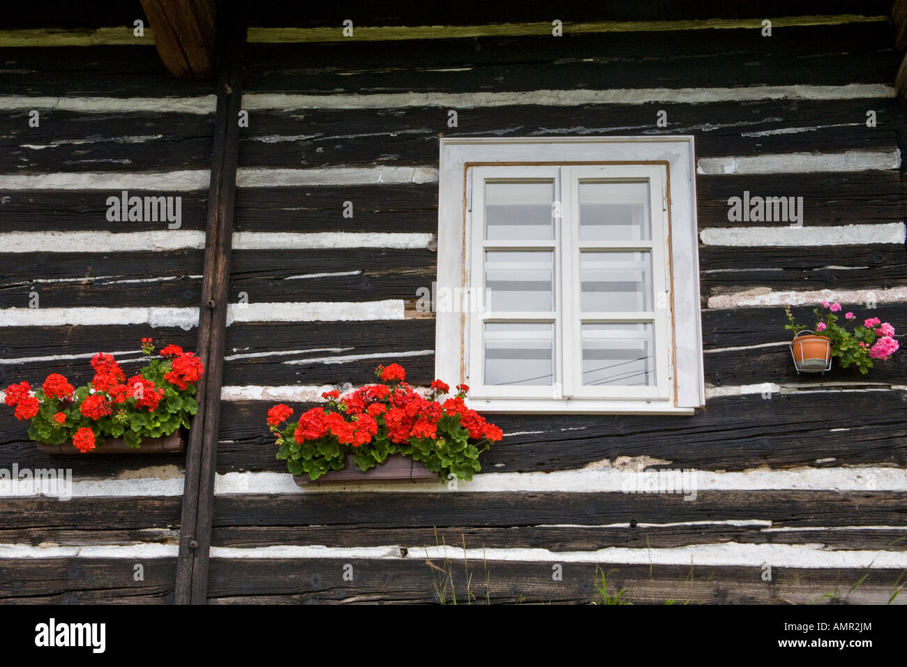 Geraniums in window boxes on a traditional Czech log home, Eastern ...