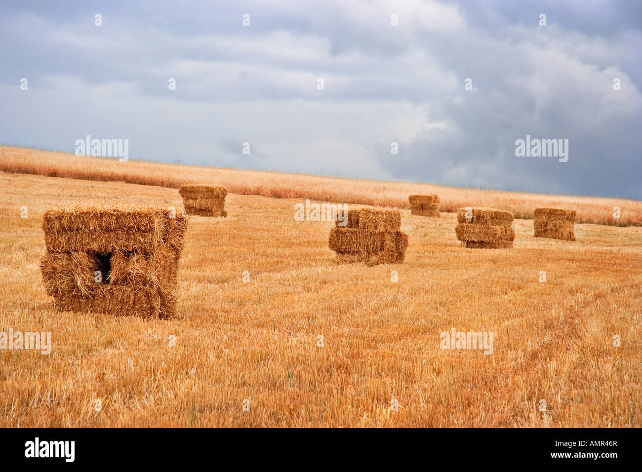 Rectangle bales of hay hi-res stock photography and images - Alamy