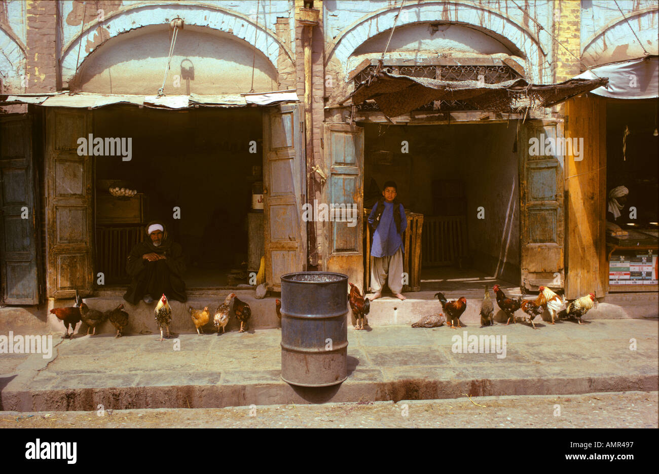 Afghanistan Afganistan Afghan Afghani chickens poultry commerce shop ...