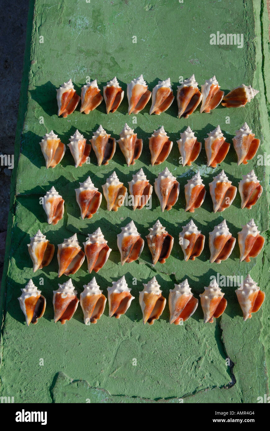 Shopping Isla Mujeres High Resolution Stock Photography and Images - Alamy