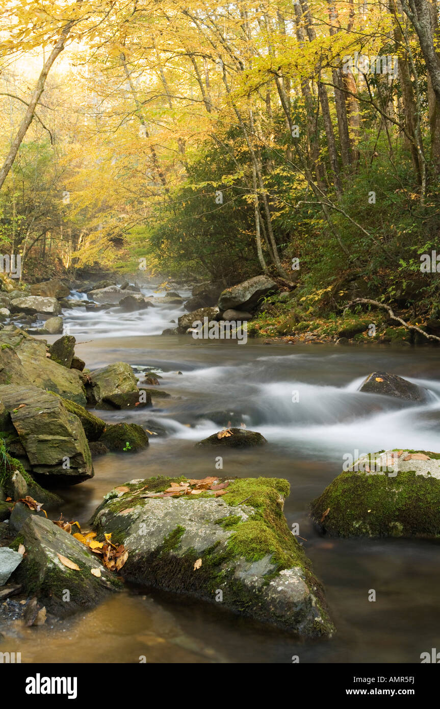 A mountain stream with Autum colors Stock Photo - Alamy