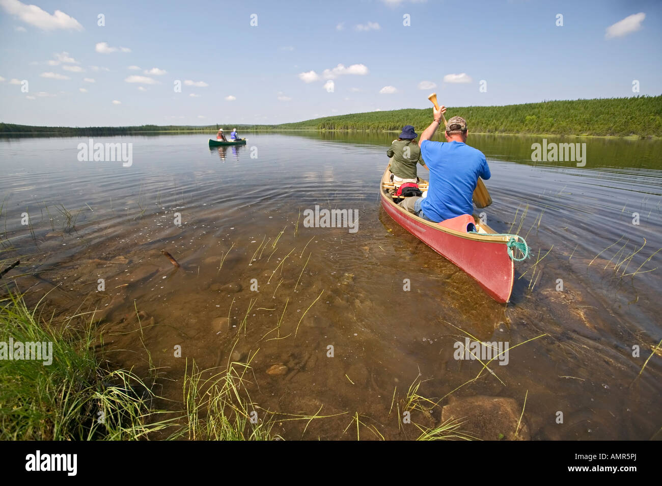 Canada, Newfoundland, Northern Peninsula, Viking Trail, Main Brook ...