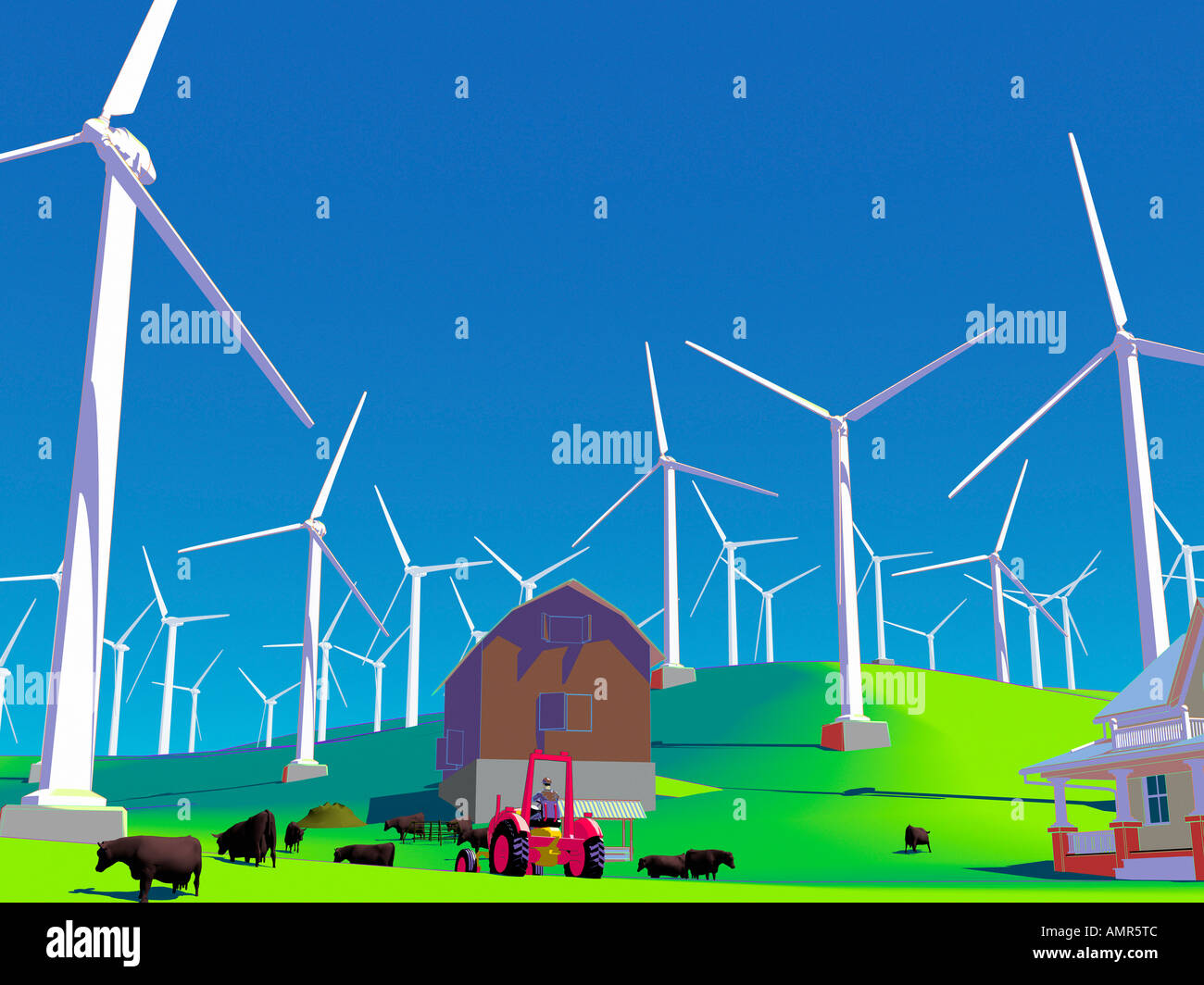 Farmer driving cattle home hi-res stock photography and images - Alamy