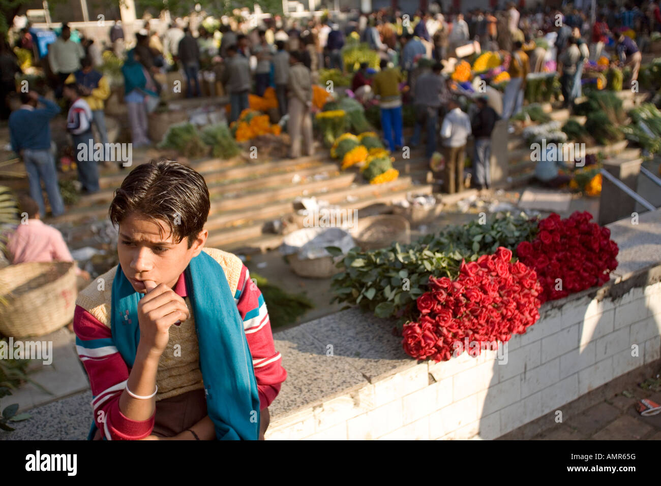 A boy selling roses New Delhi flower market New Delhi India Stock Photo ...