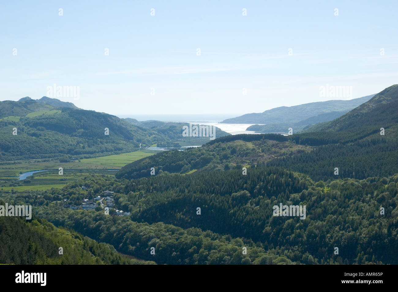 Mawddach river wildlife hi-res stock photography and images - Alamy