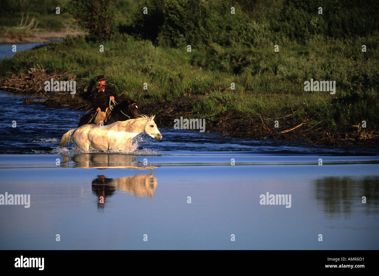 Cowboy moving horse across a river sunrise Stock Photo - Alamy