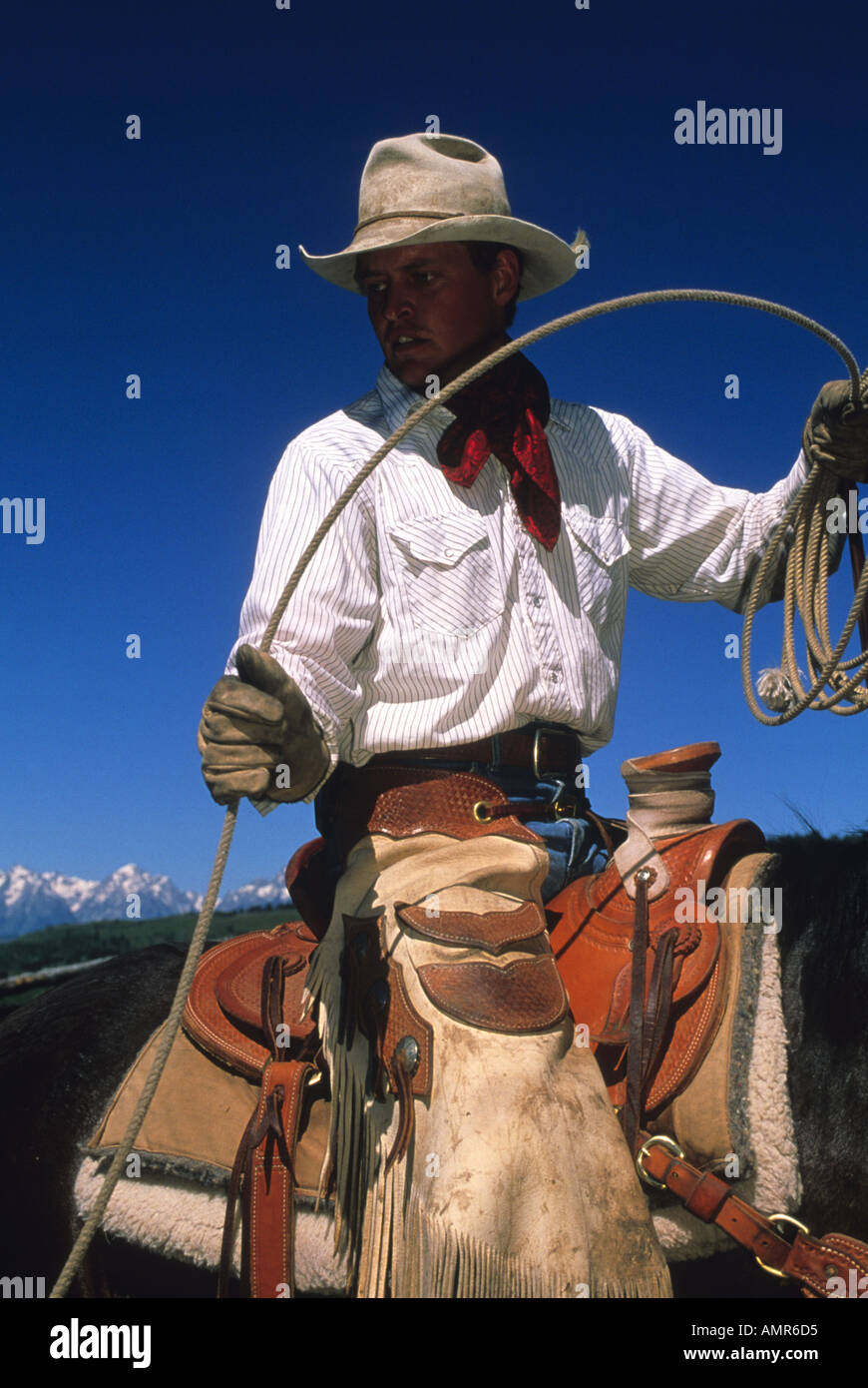 Cowboy on horseback with rope Teton mountains in distance Stock Photo ...