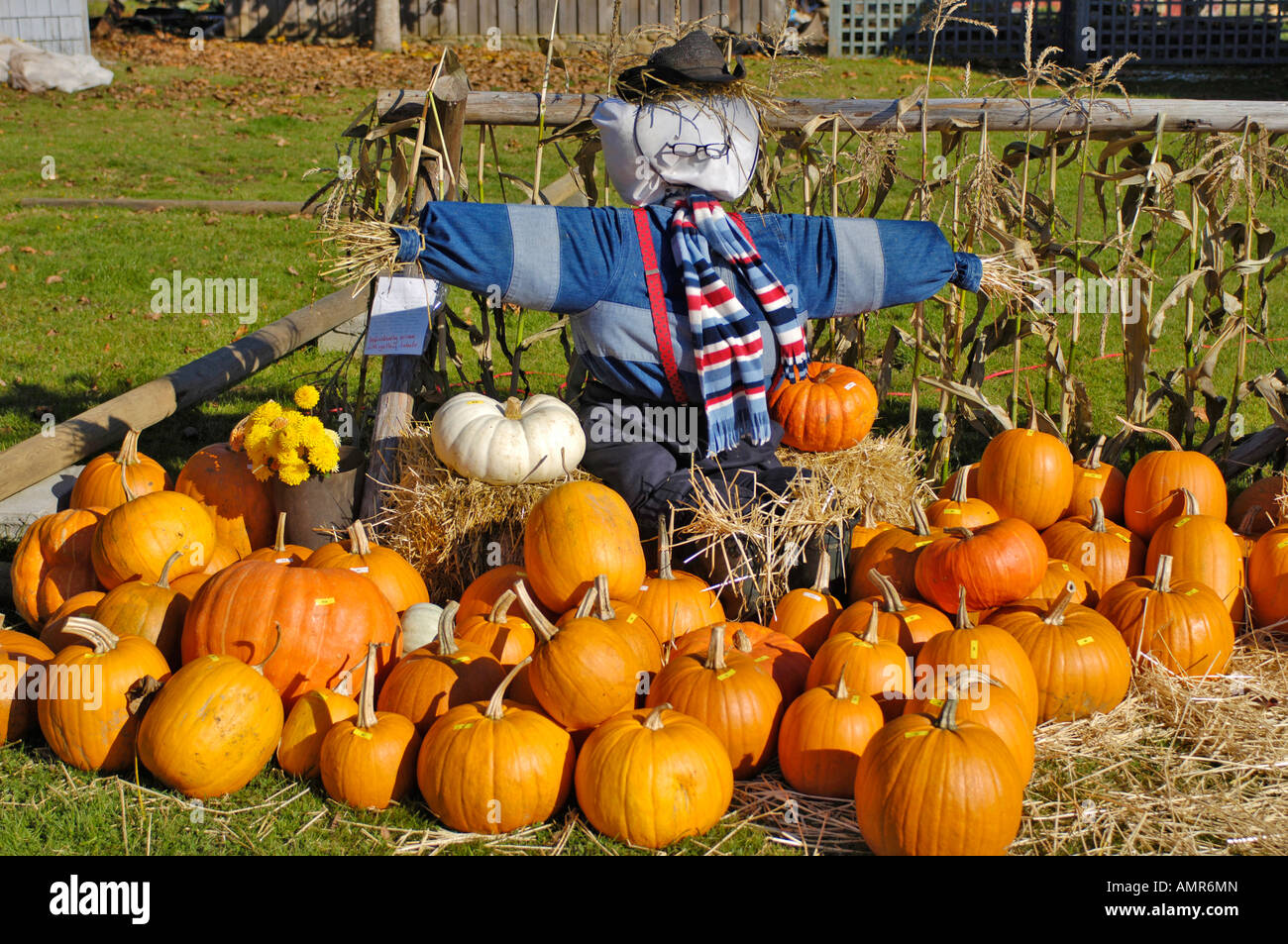 Canadian Straw Fabric Rag Traditional Halloween Rag Stuffed Doll ...