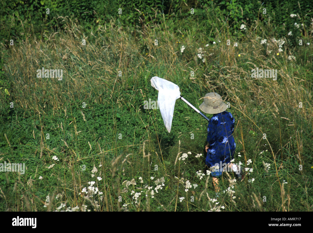 Boy butterfly net grass hi-res stock photography and images - Alamy