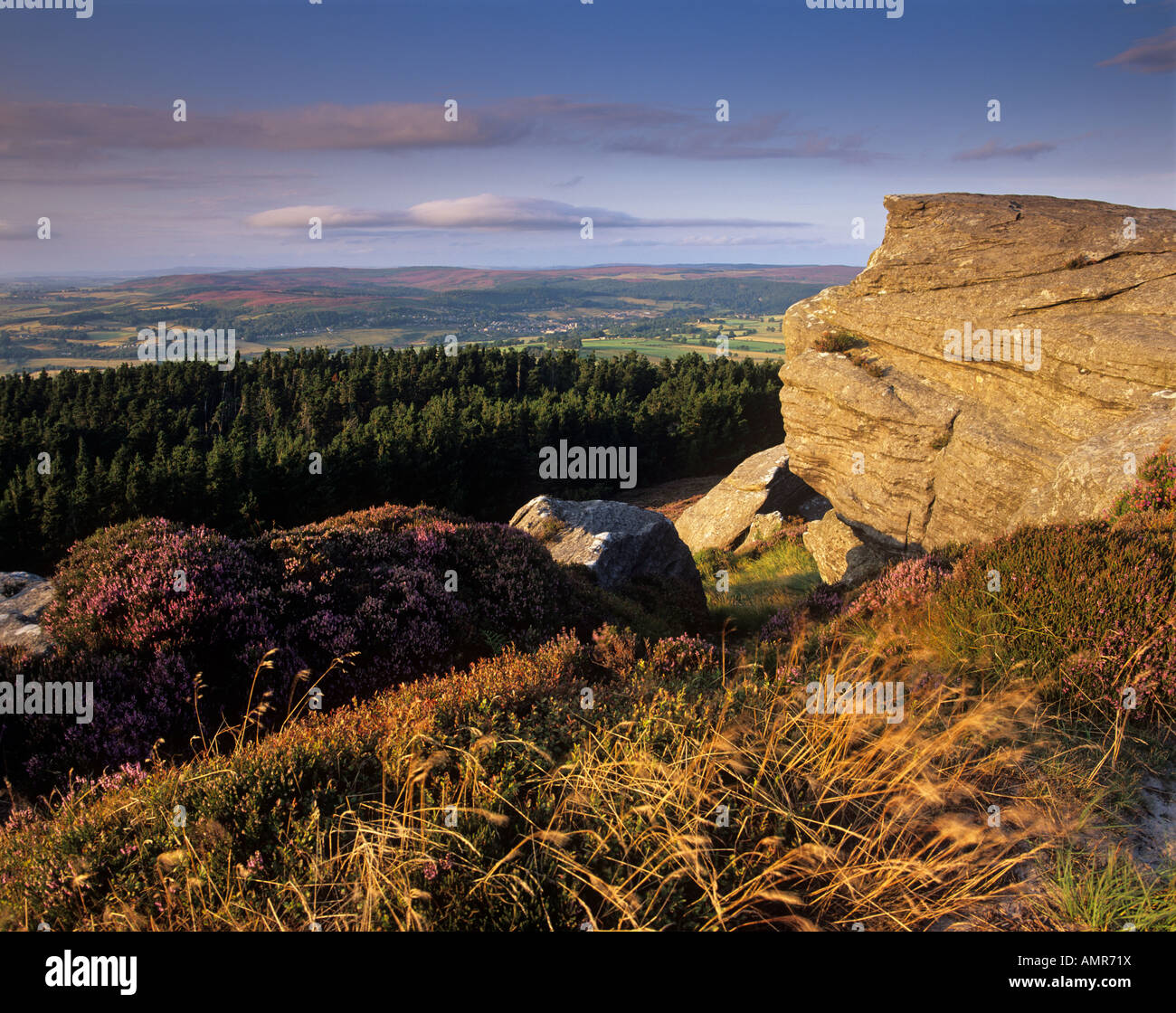 Northumberland simonside heather rothbury hi-res stock photography and ...